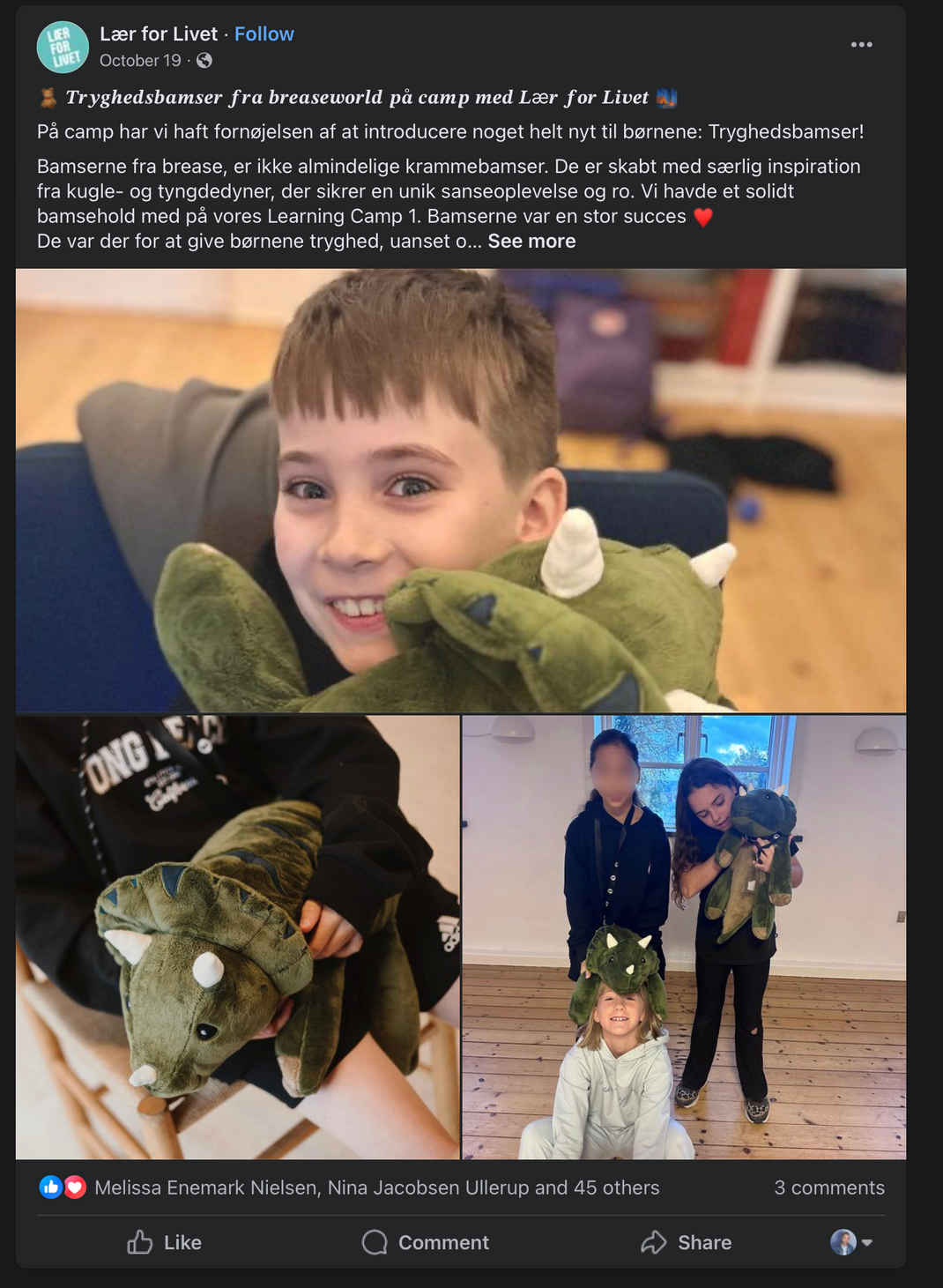About Us | Story of Brease World
