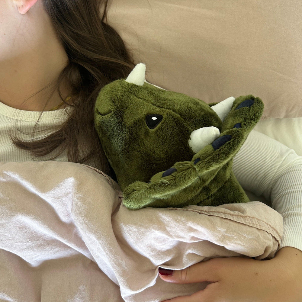 Weighted Green Dinosaur | 5lb Weighted Dinosaur